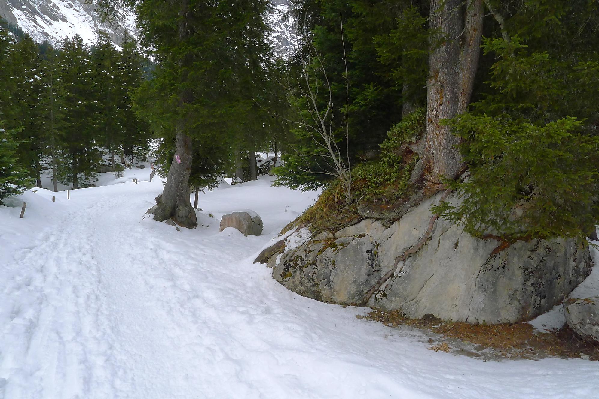 Ski de randonnée au col des Chamois depuis Cergnement, Solalex ...