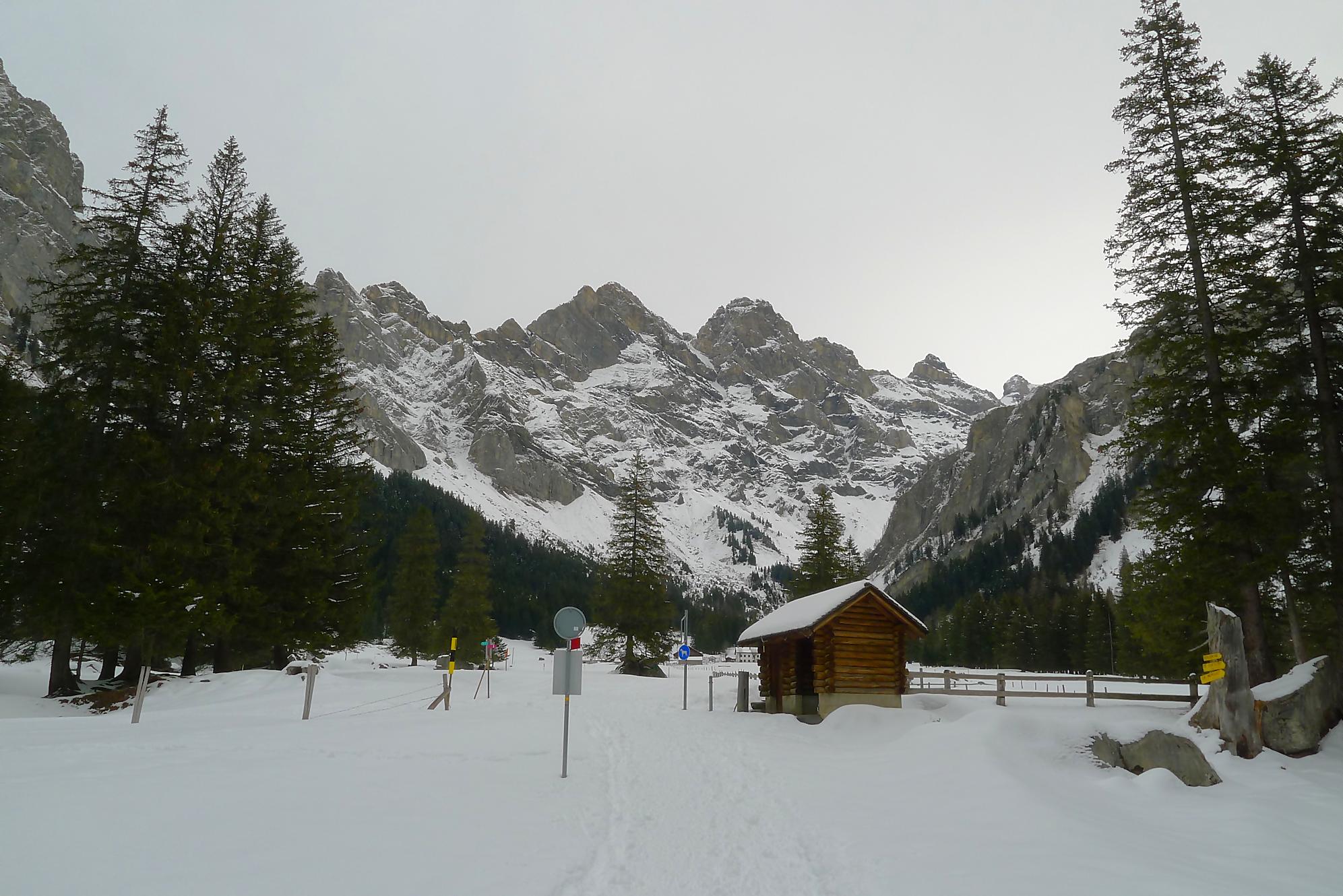 Ski de randonnée au col des Chamois depuis Cergnement, Solalex ...