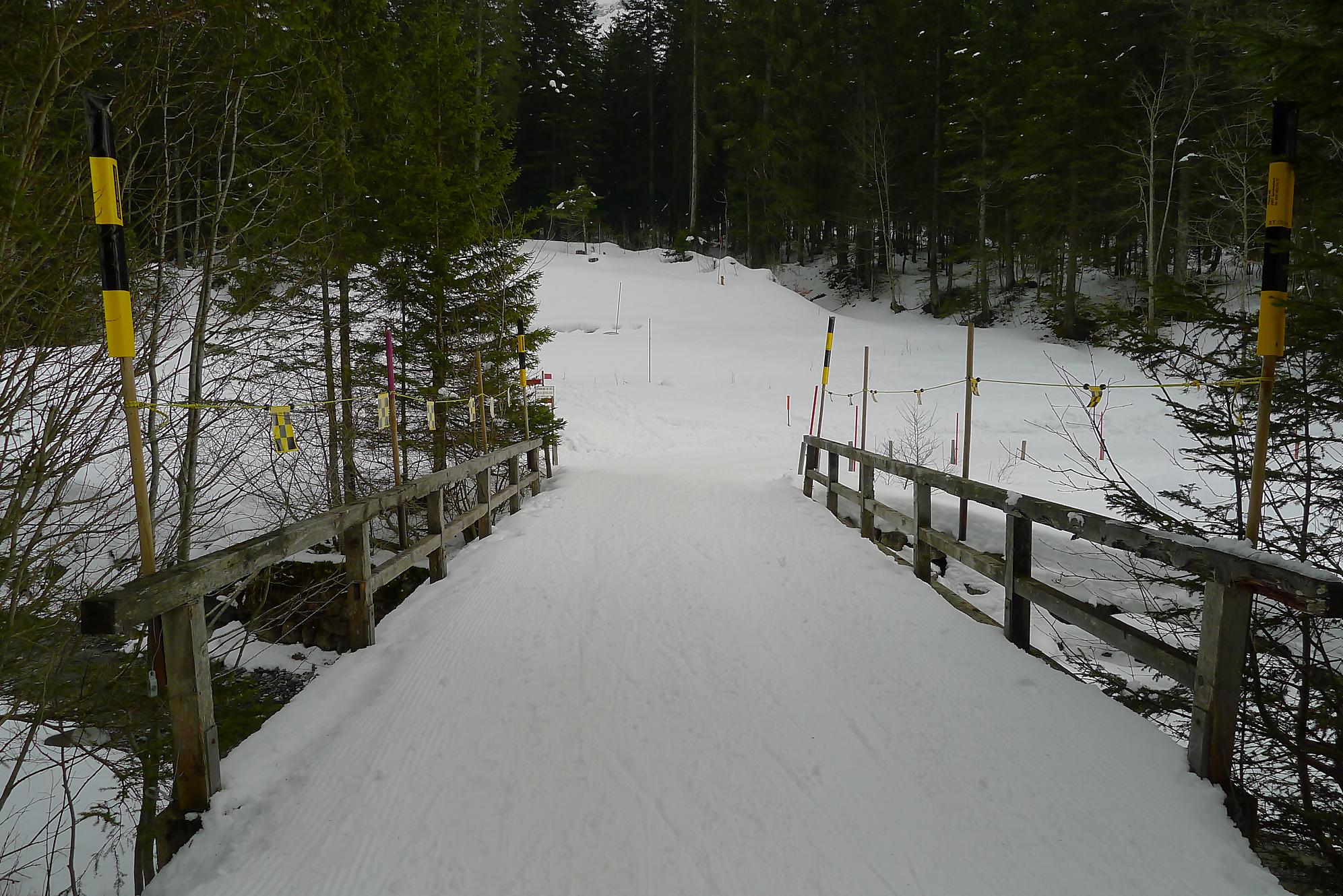 Ski de randonnée au col des Chamois depuis Cergnement, Solalex ...