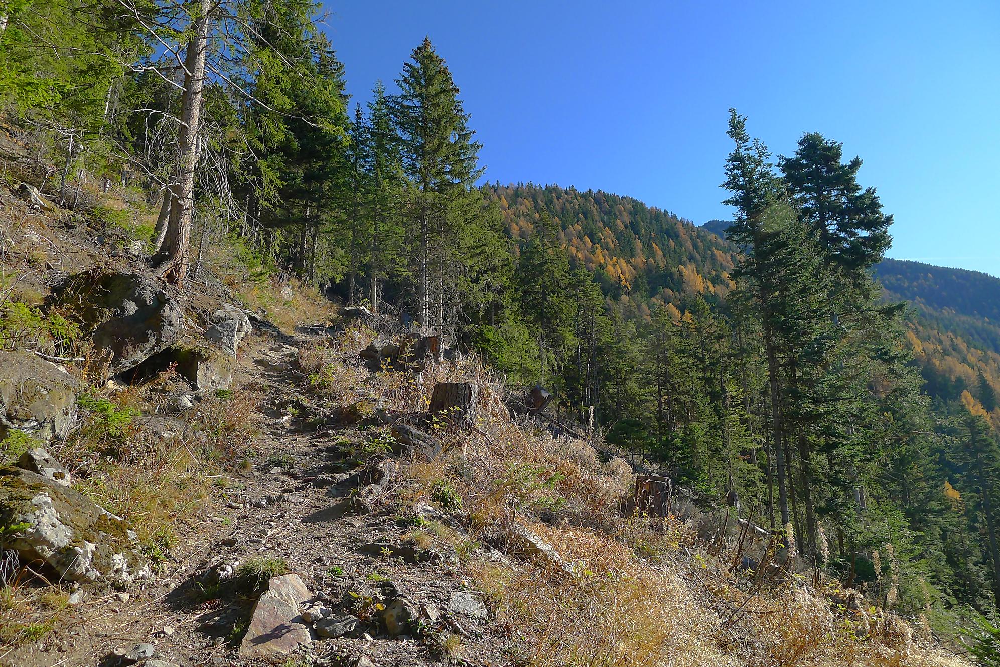 Randonnée à la cabane Démècre depuis le téléphérique Dorenaz-Champex d ...