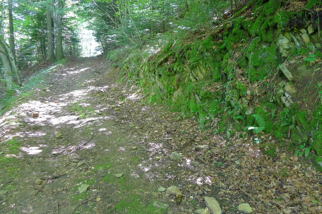 Randonnée au Grand Crêt d’Eau du Jura depuis Farges, Collonges. Retour ...