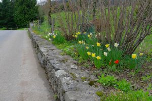 Course en vélo de Lausanne à Forel, Granges, Mont Pèlerin et Tour de ...