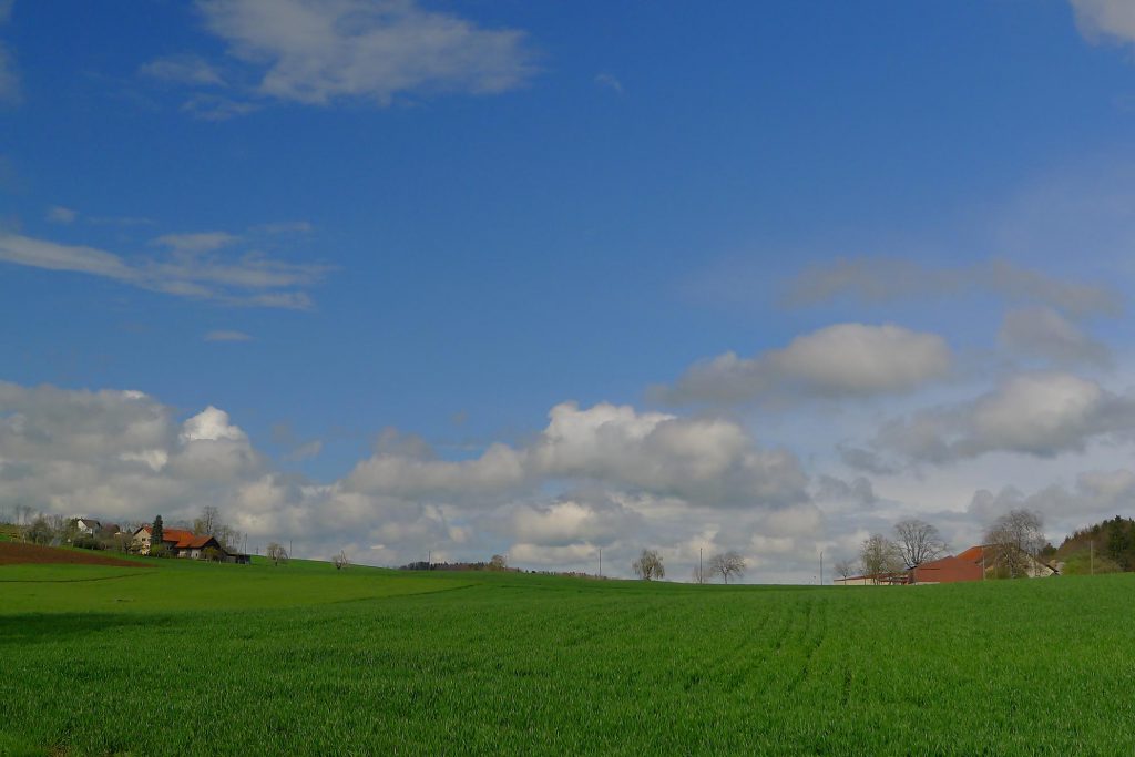 Course en vélo de Lausanne à Forel, Granges, Mont Pèlerin et Tour de ...