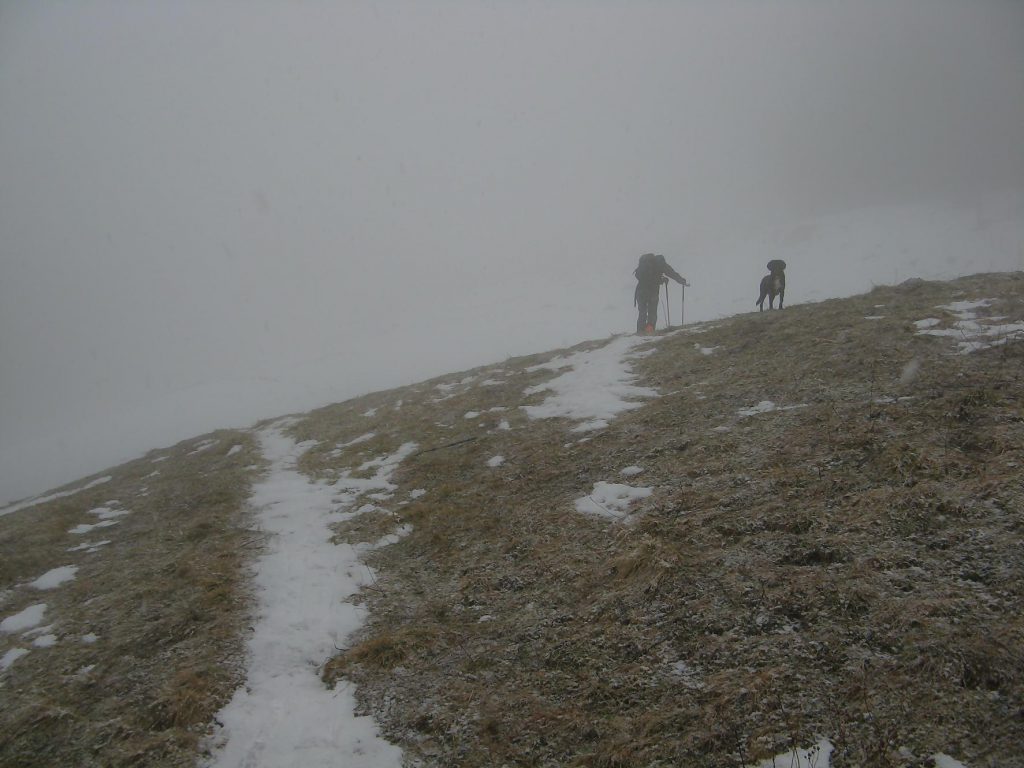 Ski de randonnée à la Dent de Valerette depuis Les Cerniers (Monthey ...