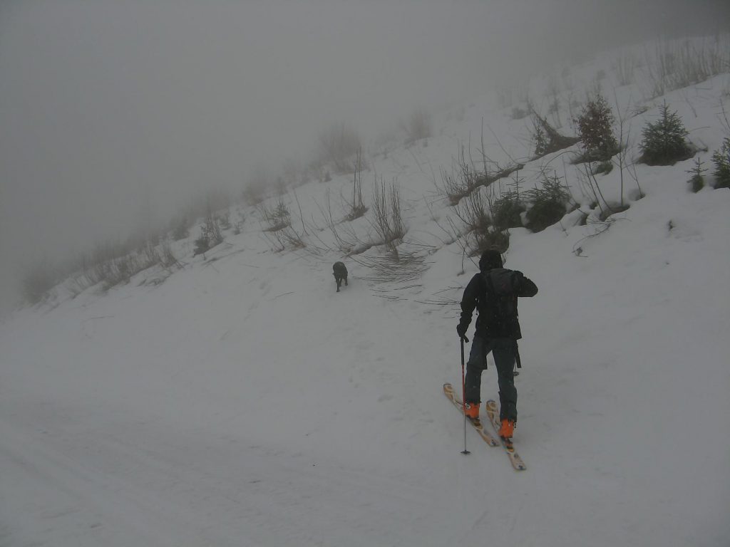 Ski de randonnée à la Dent de Valerette depuis Les Cerniers (Monthey ...