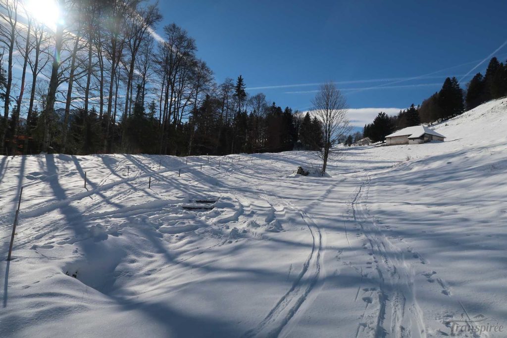 Ski de randonnée au Lys Derrey depuis les Sciernes d’Albeuve – Transpiree