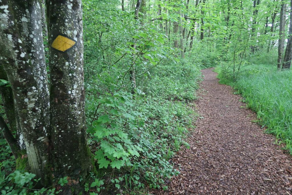 Randonnée à la réserve des Grangettes depuis Villeneuve – Transpiree