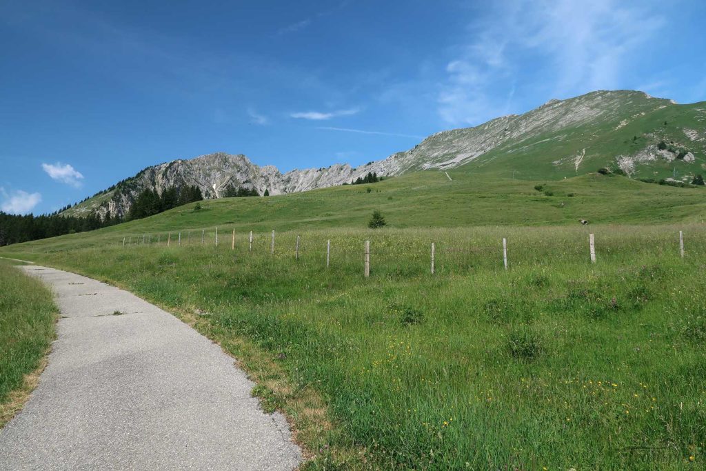 Randonnée au Gros Van du Mont d’Or depuis le Col des Mosses – Transpiree