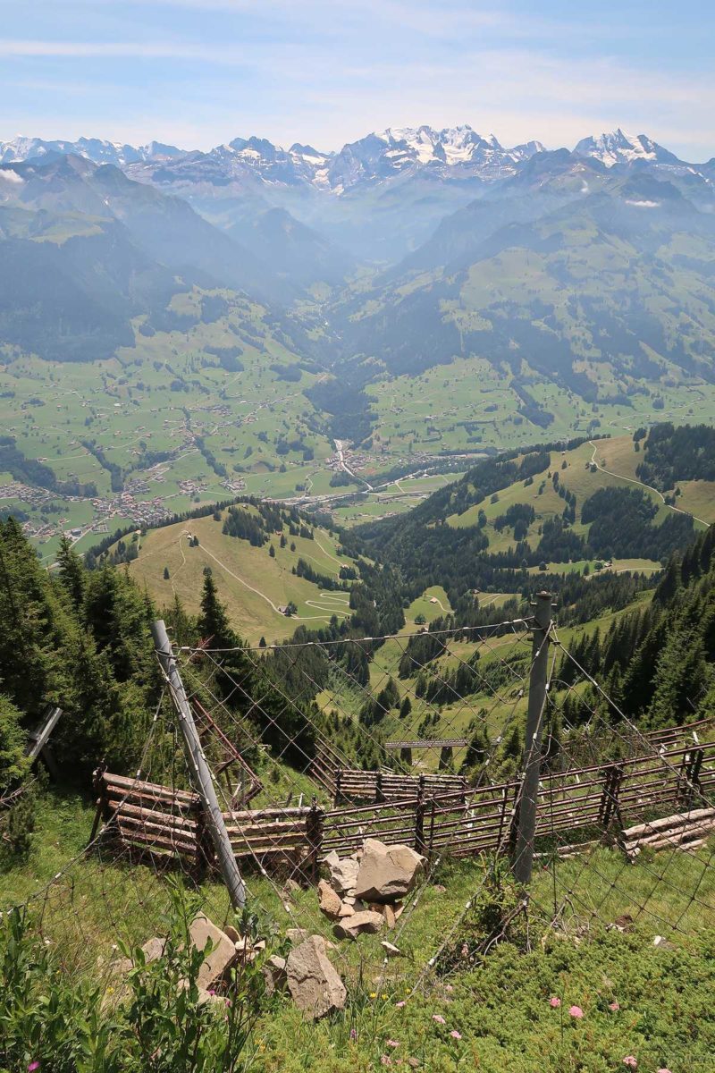 Randonnée au Niesen depuis Mülenen – Transpiree