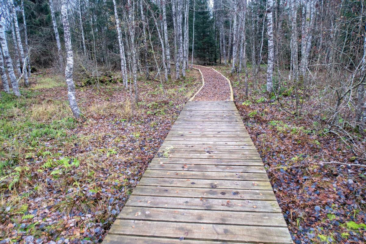 Randonnée à la tourbière des Ponts-de-Martel et sources sulfureuse et ...