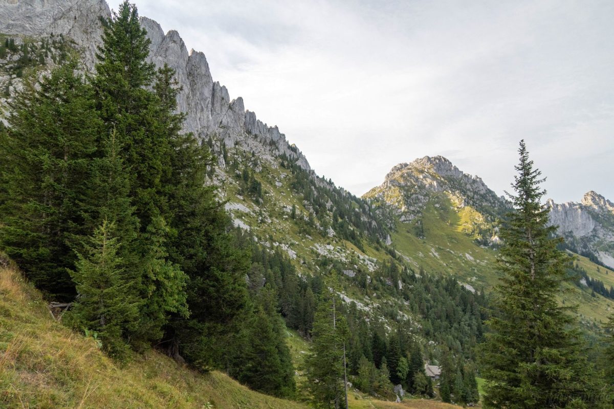 Randonnée à l’Oberbergpass depuis le Chalet du Soldat – Transpiree